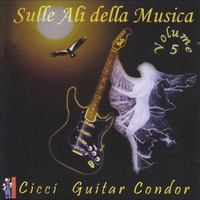 Cicci Guitar Condor Hotel California 악보