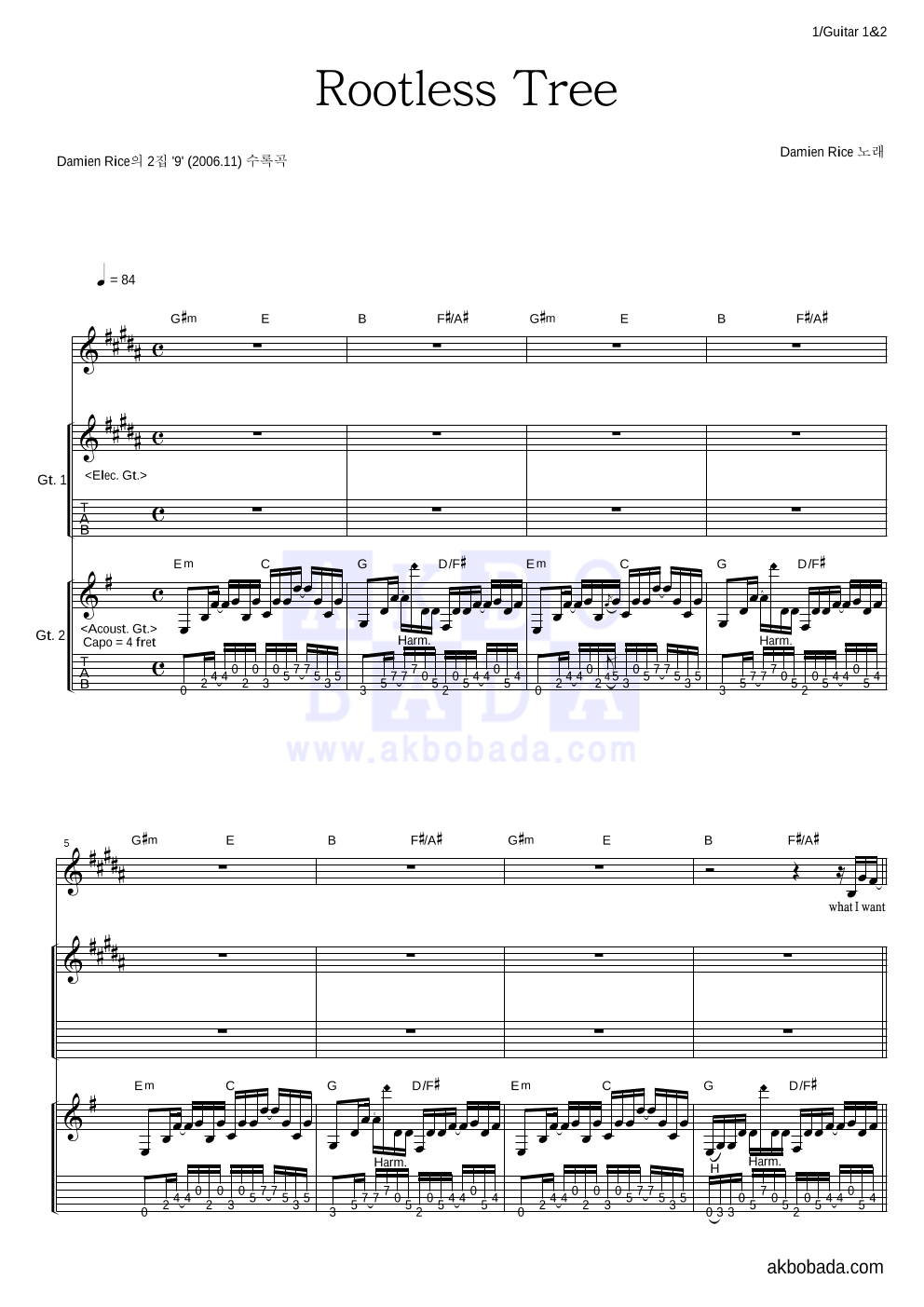 Damien Rice Rootless Tree 악보